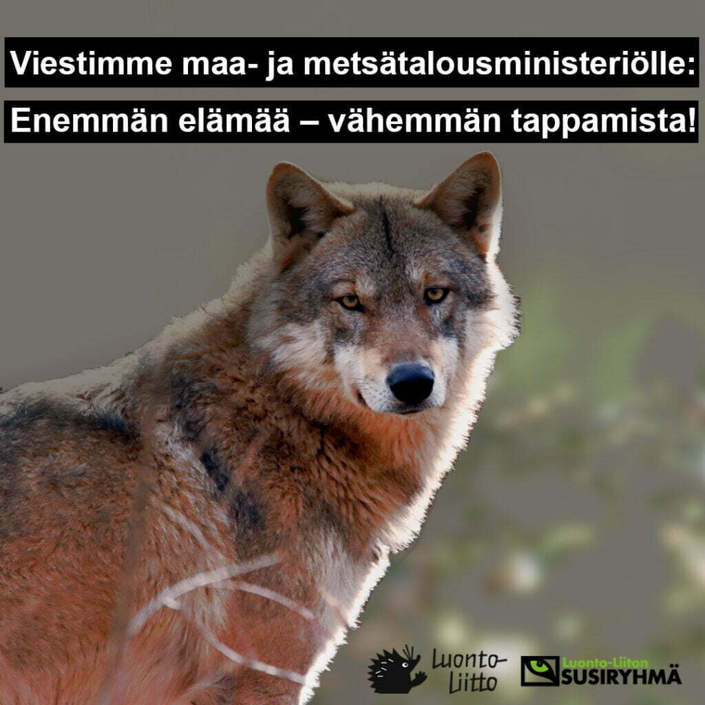 Etusivu - Luonto-Liitto