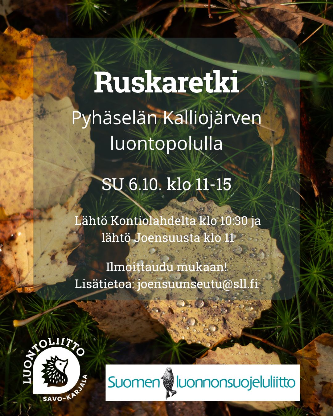 Ruskaretki Kalliojärven kierrokselle - Luontoliitto https://luontoliitto.fi/wp-content/uploads ...