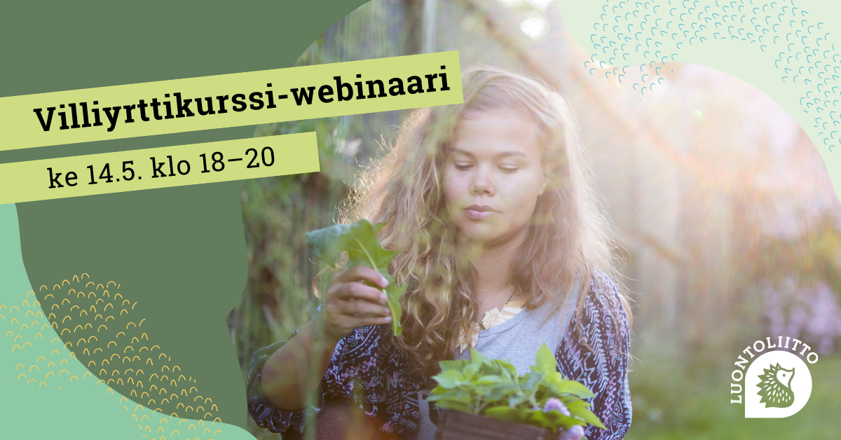 Villiyrttikurssi-webinaari jäsenille - Luontoliitto https://luontoliitto.fi/wp-content/uploads ...